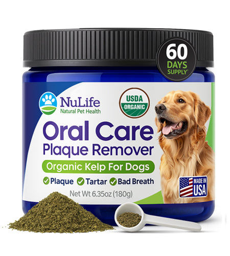 Sea Kelp Dental Powder for Dogs – Clean Teeth, No Brushing Needed ...